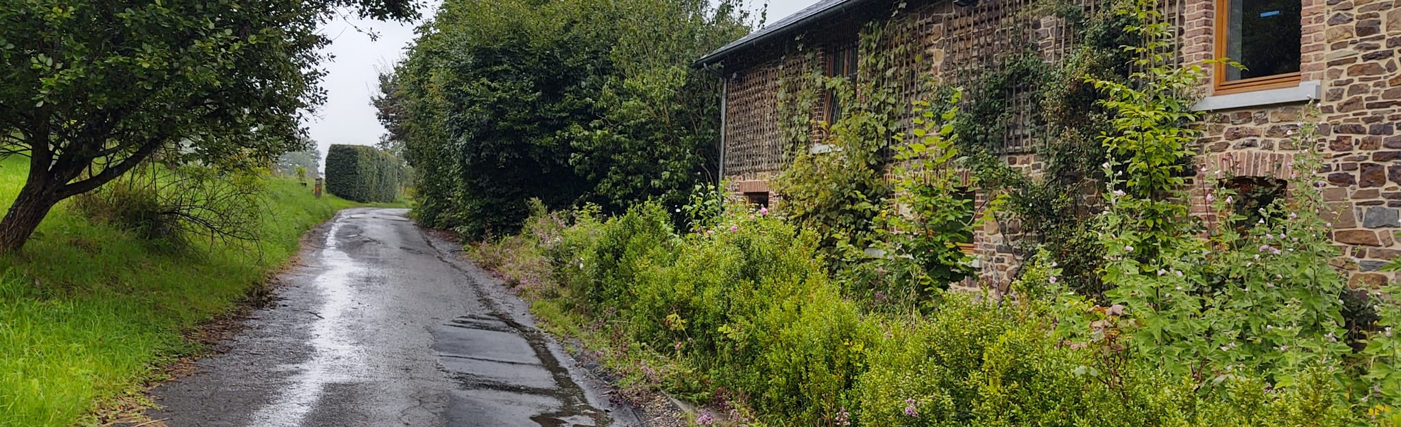 Découverte d'Havelange, Liège, Belgium - Map, Guide | AllTrails
