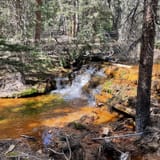 Webster and Red Cone Pass Trail, Colorado - 120 Reviews, Map | AllTrails