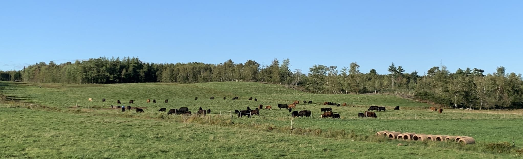 Jitney Trail: 36 Reviews, Map - Nova Scotia, Canada | AllTrails