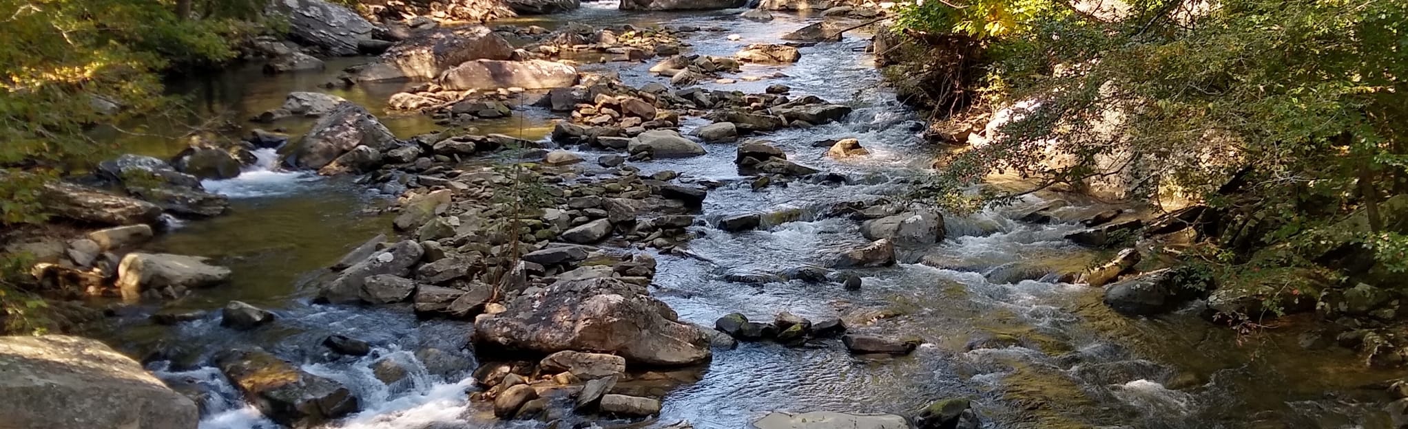Cumberland Trail-North Soddy Creek Gorge Section: 109 Reviews, Map ...