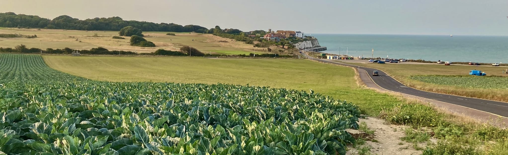 The Viking Coastal Trail: 56 Reviews, Map - Kent, England | AllTrails