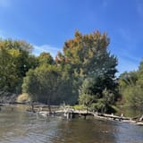Manistique River Paddle Route, Michigan - 5 Reviews, Map | AllTrails