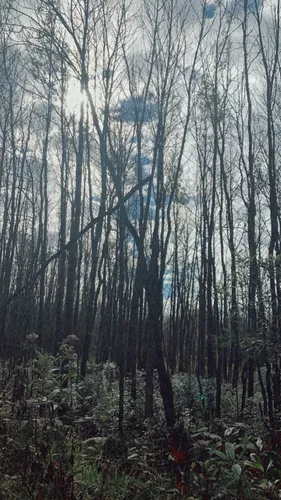 Best Hikes and Trails in Azilda | AllTrails