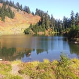 Johnson Ridge Trail, Washington - 235 Reviews, Map | AllTrails