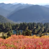 Johnson Ridge Trail, Washington - 235 Reviews, Map | AllTrails