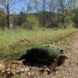 The '400' State Trail, Wisconsin - 144 Reviews, Map | AllTrails