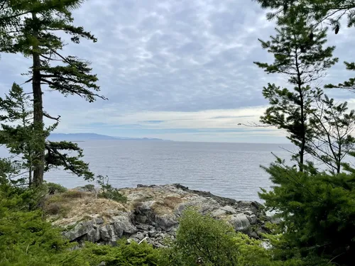10 Best Trails and Hikes in Comox Valley A | AllTrails