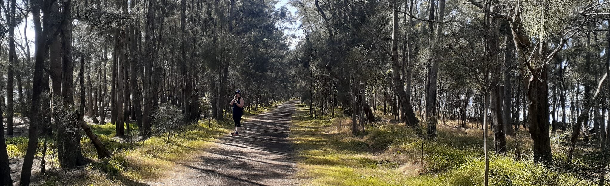 Ourimbah Creek Inlet Walk, New South Wales, Australia - 11 Reviews, Map ...