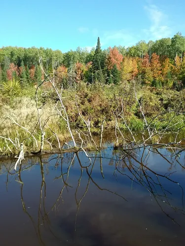 Best Hikes and Trails in Iron River | AllTrails