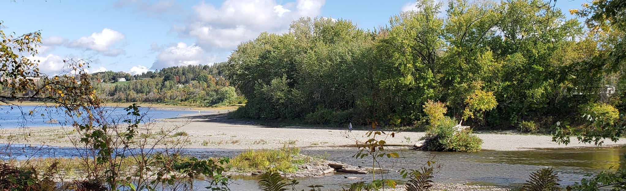 Levee Trail and Spike Trail, Maine - Map, Guide | AllTrails