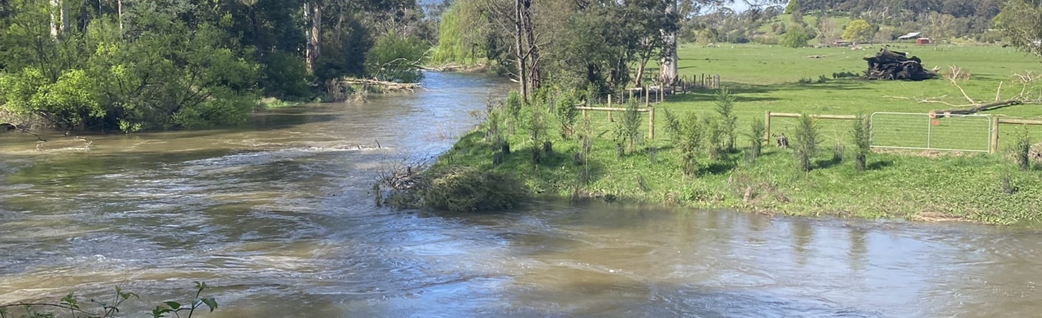 Yarra Bridge Streamside Reserve Loop: 8 Reviews, Map - Victoria ...