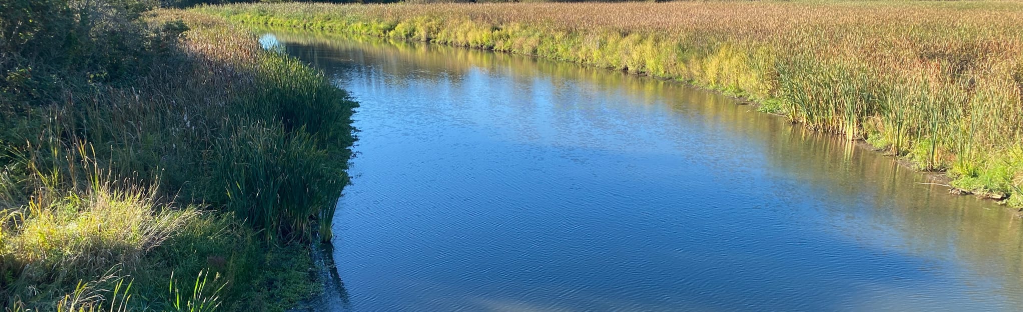 Westside Marsh Paddle, Ontario, Canada - 6 Reviews, Map | AllTrails