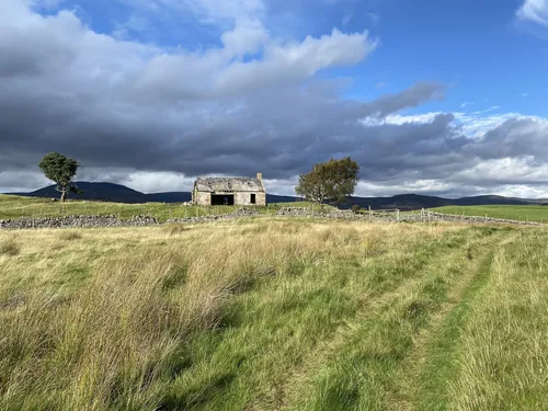 Best Bird Watching Trails in Kingussie | AllTrails