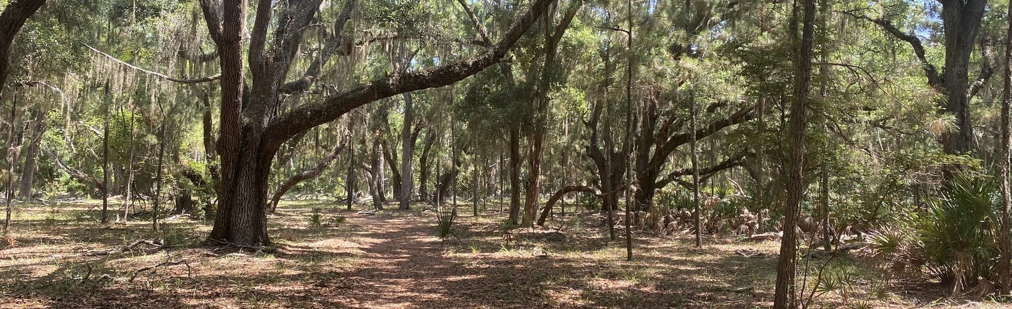 Parallel Trail | Map, Guide - Georgia | AllTrails