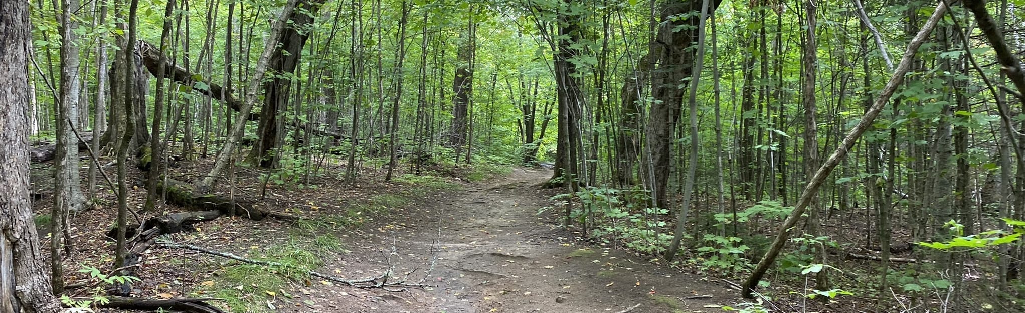 Monastery Tower Loop, Ontario, Canada - 136 Reviews, Map | AllTrails