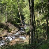 Coleman River Trail, Georgia - 134 Reviews, Map | AllTrails