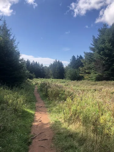 Best Hikes and Trails in Bonshaw Provincial Park | AllTrails