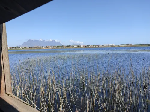 Best Hikes and Trails in Table Bay Nature Reserve | AllTrails
