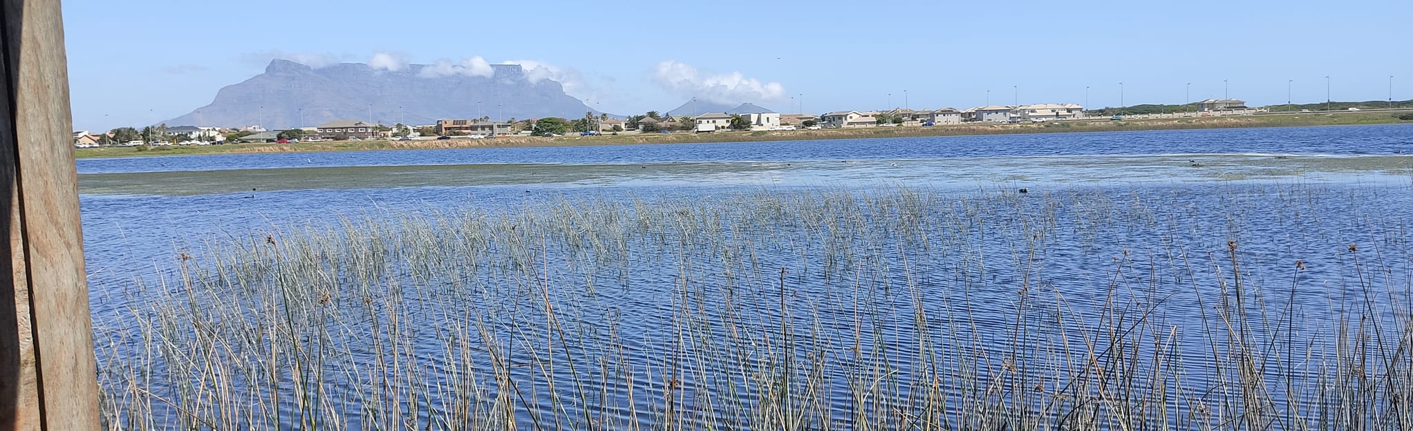 Table Bay Nature Reserve Trail: 17 foto - provincia del Capo ...