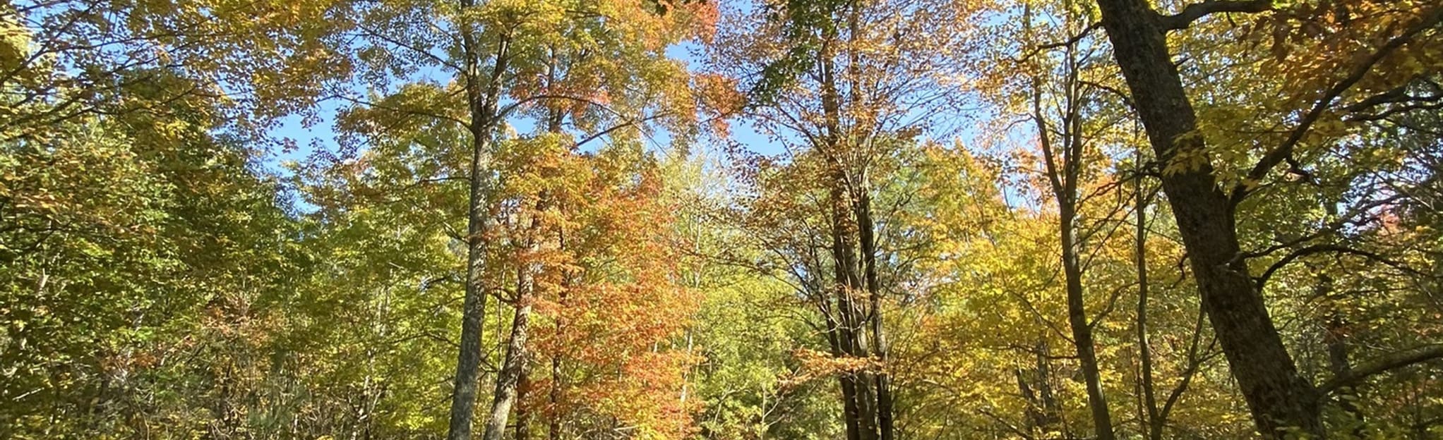 Whippoorwill Loop, Wisconsin - 17 Reviews, Map | AllTrails