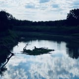 Trinity Forest Trail, Texas - 453 Reviews, Map | AllTrails