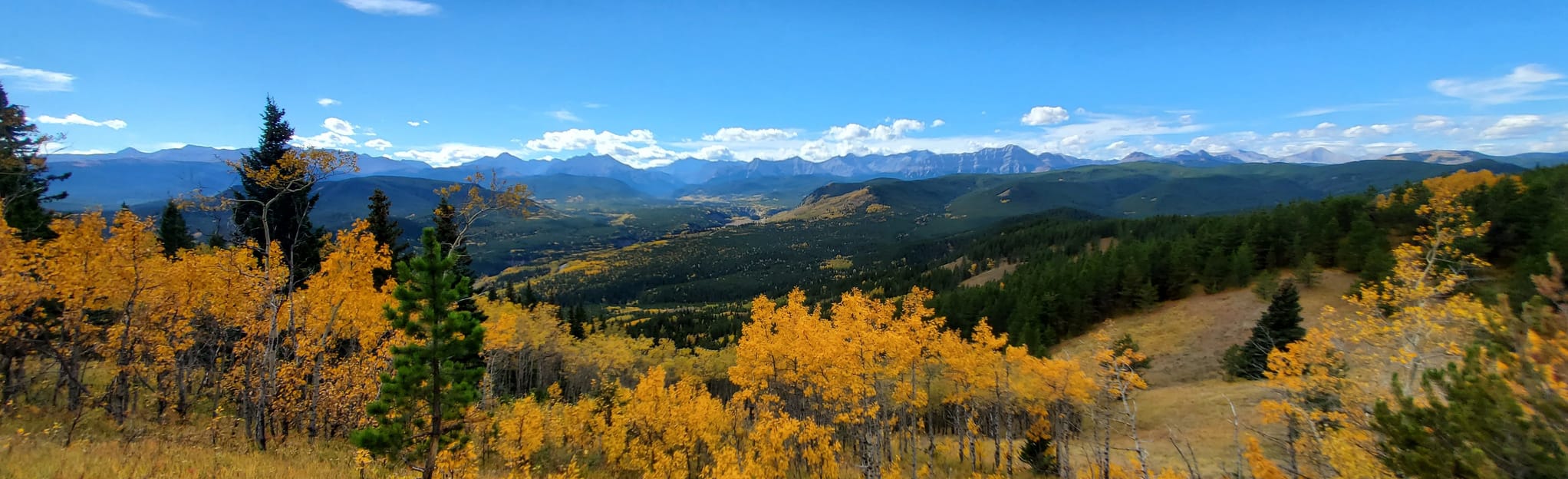 Gleason Ridge Partial Loop: 25 Reviews, Map - Alberta, Canada | AllTrails