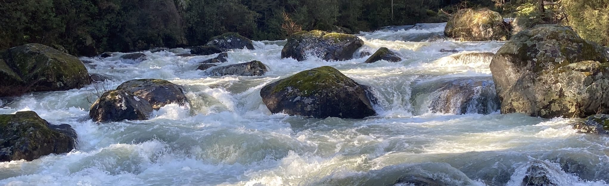 East Kiewa River Trail, Victoria, Australia - 4 Reviews, Map | AllTrails