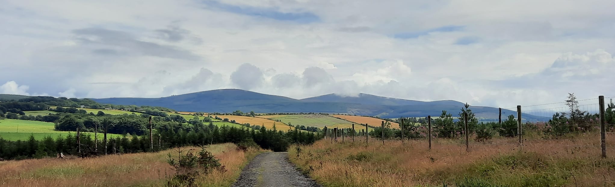 Saggart Loop, County Dublin, Ireland - 243 Reviews, Map | AllTrails