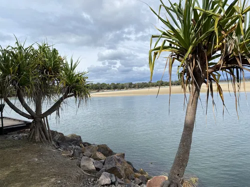 2023 Best 10 Walking Trails in Noosa Shire | AllTrails