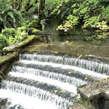 Belknap Hot Springs Resort, Oregon - 54 Reviews, Map | AllTrails