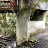 Belknap Hot Springs Resort, Oregon - 59 Reviews, Map | AllTrails