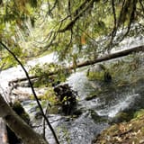 Belknap Hot Springs Resort, Oregon - 59 Reviews, Map | AllTrails