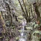 Belknap Hot Springs Resort, Oregon - 59 Reviews, Map | AllTrails