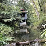 Belknap Hot Springs Resort, Oregon - 59 Reviews, Map | AllTrails