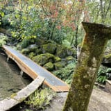 Belknap Hot Springs Resort, Oregon - 59 Reviews, Map | AllTrails