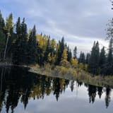 Mount Logan, Colorado - 32 Reviews, Map | AllTrails