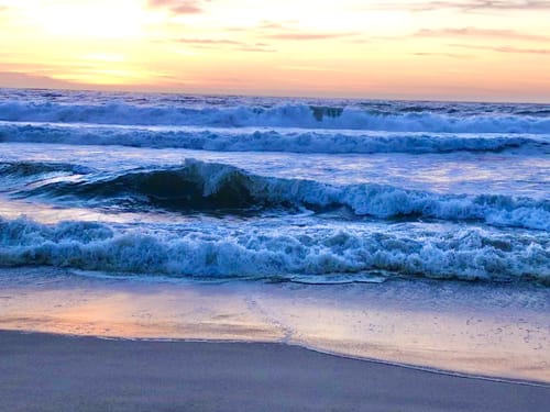 Best Hikes and Trails in Marina State Beach | AllTrails