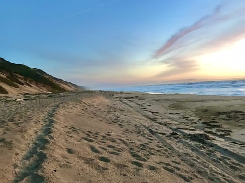 Best Hikes and Trails in Marina State Beach | AllTrails