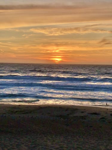 Best Hikes and Trails in Marina State Beach | AllTrails