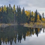 Mount Logan, Colorado - 32 Reviews, Map | AllTrails