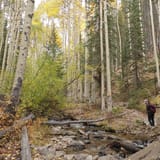 Mount Logan, Colorado - 32 Reviews, Map | AllTrails