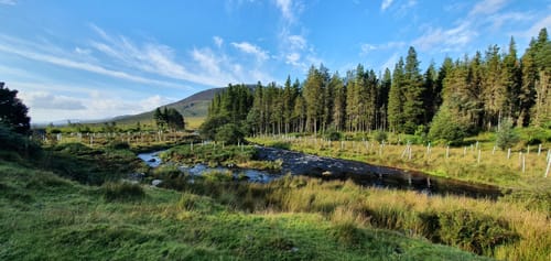 Best 10 Hikes and Trails in Wild Nephin National Park | AllTrails