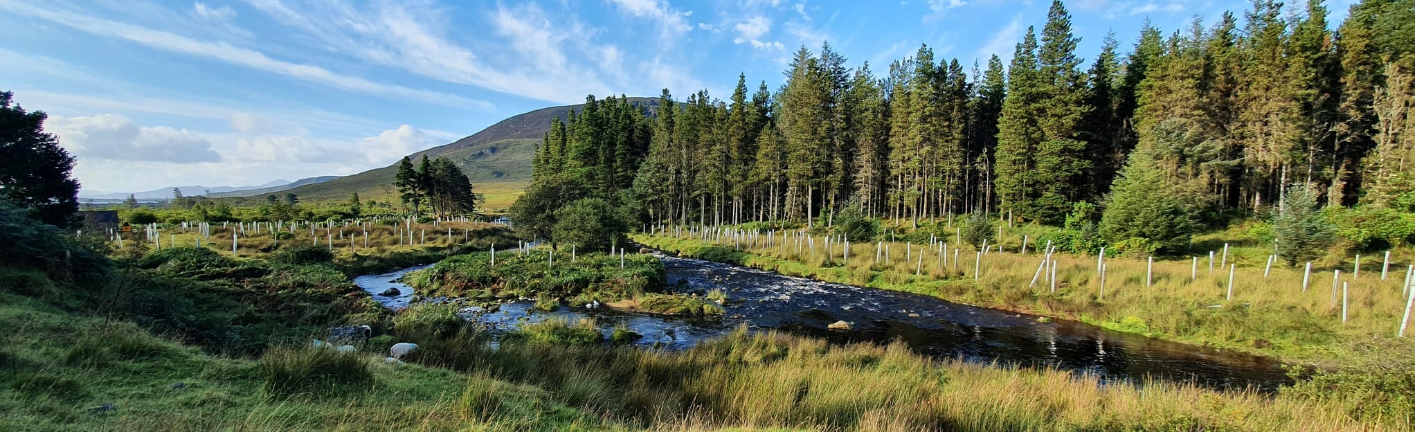 Brogan Carroll and Ballycroy Woods Loop: 11 Reviews, Map - County Mayo ...