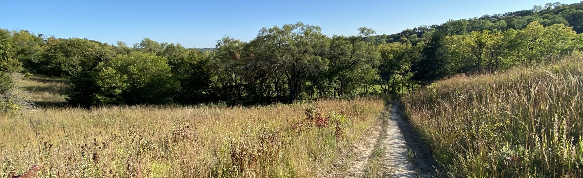 Badger Ridge Trail Loop: 299 Reviews, Map - Iowa | AllTrails