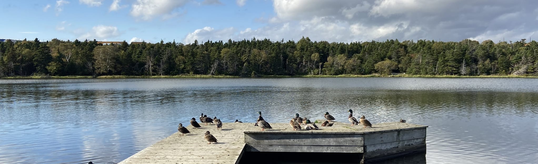 Kenny’s Pond & Kent’s Pond Loop, Newfoundland and Labrador, Canada - 13 ...
