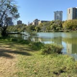 Milwaukee Lakefront, Wisconsin - 315 Reviews, Map | AllTrails