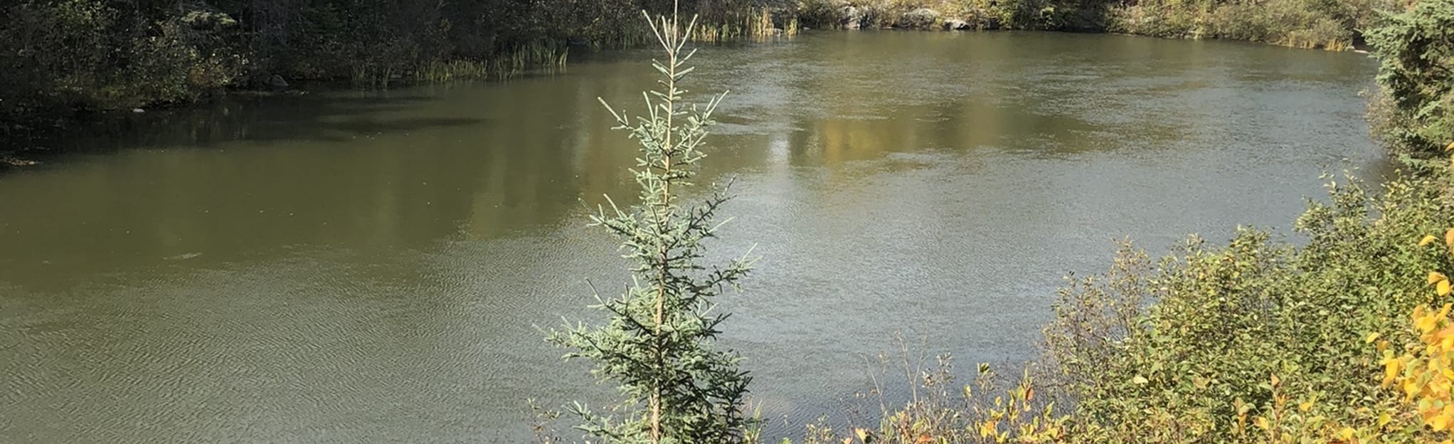 Pinawa Channel Heritage Walk: 308 Reviews, Map - Manitoba, Canada ...