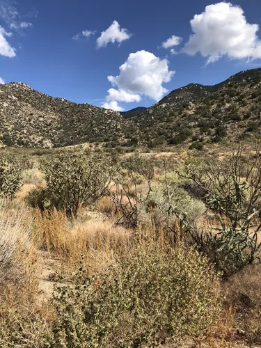 10 Best Hikes and Trails in Sandia Foothills Open Space Park | AllTrails