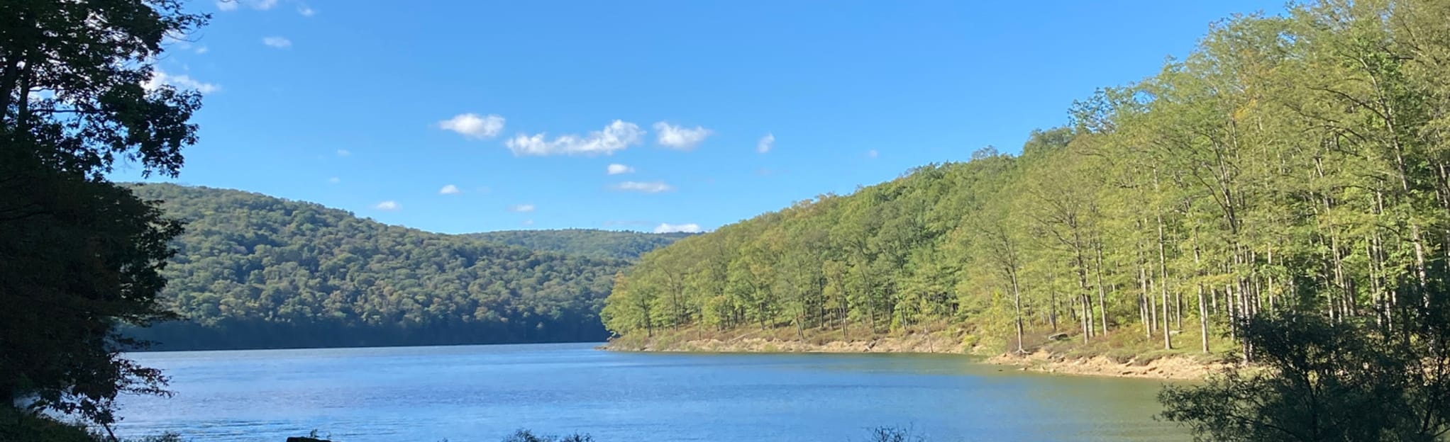 Tracy Ridge: Full Outer Loop, New York - 145 Reviews, Map | AllTrails