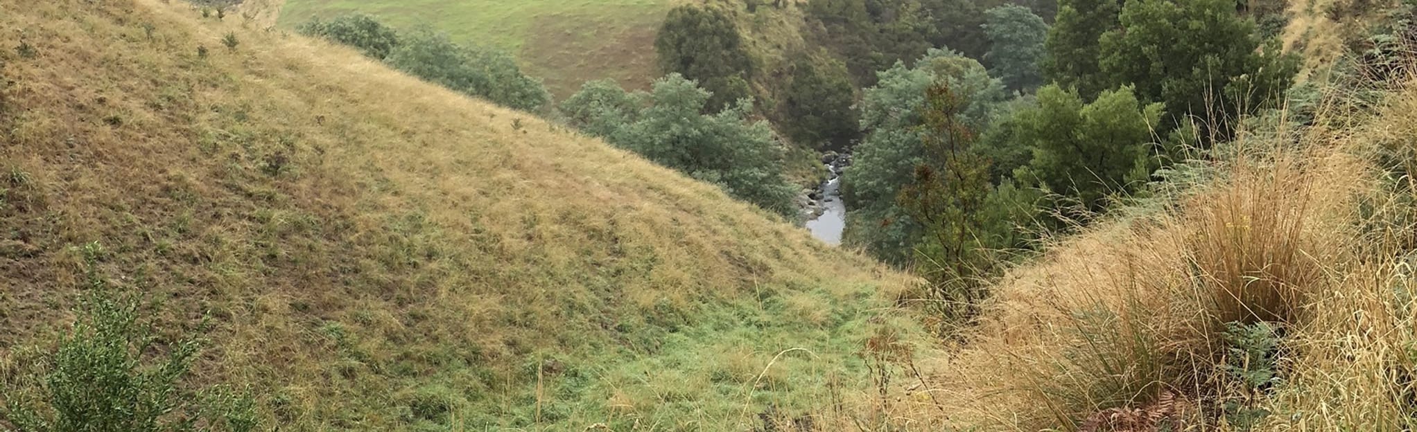Agnes River Gorge Walk - Victoria, Australia | AllTrails